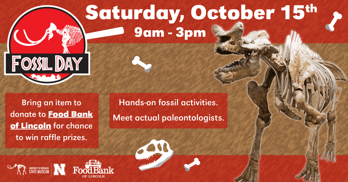 UNSM Celebrates Fossil Week