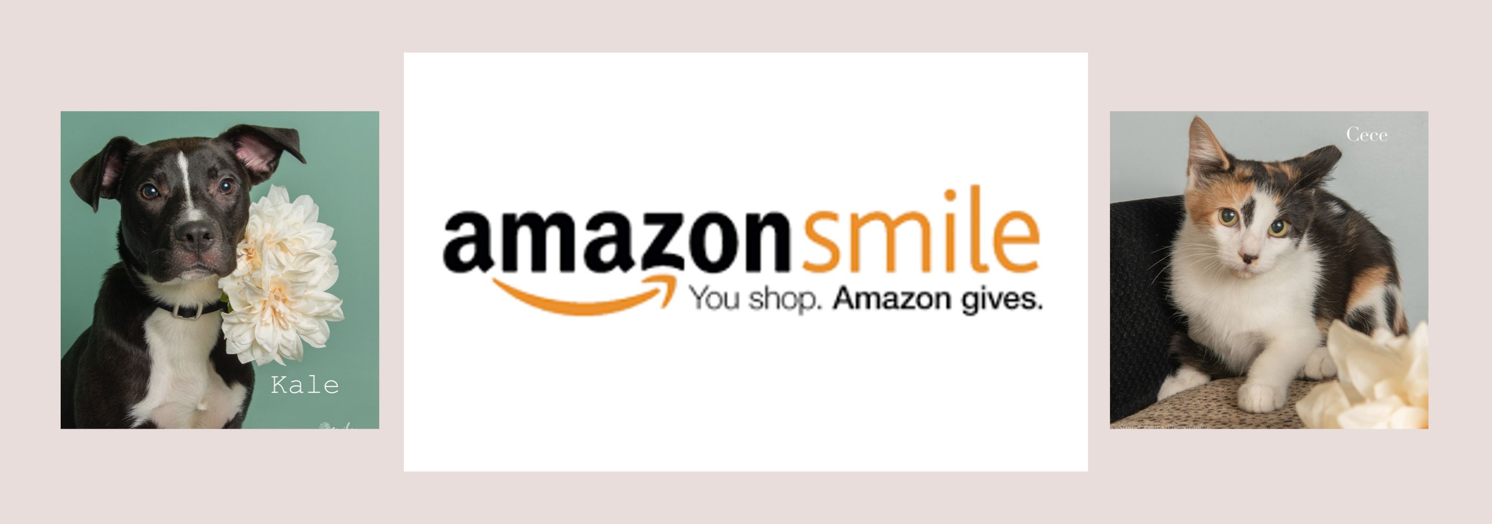 Humane Society of York County : Home