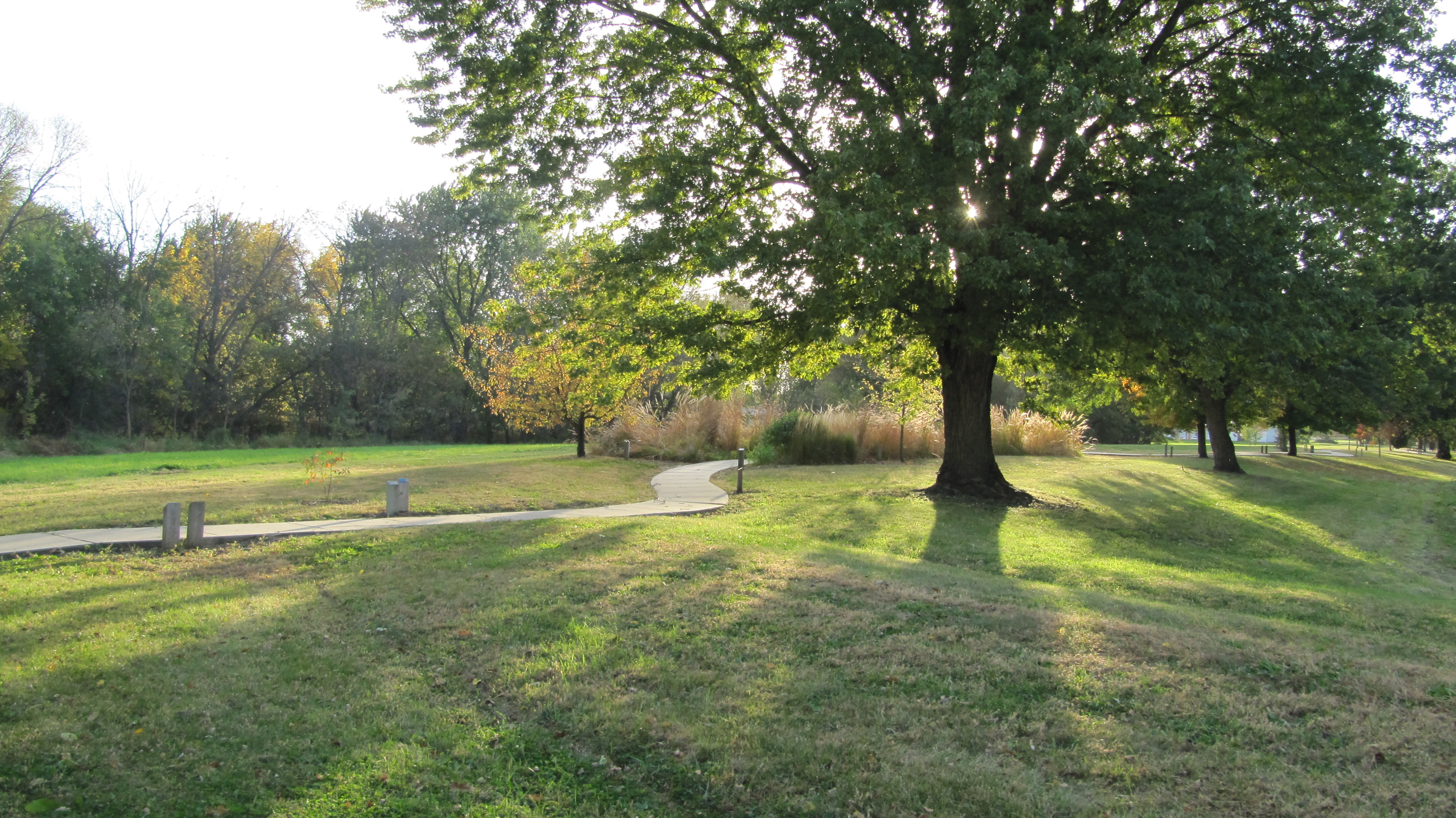 Plant | Landscape | Plains | Nebraska | Arboretum | Statewide