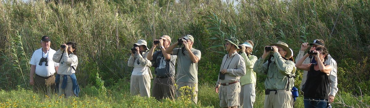 Quickstart Guide to Birding | Houston Audubon