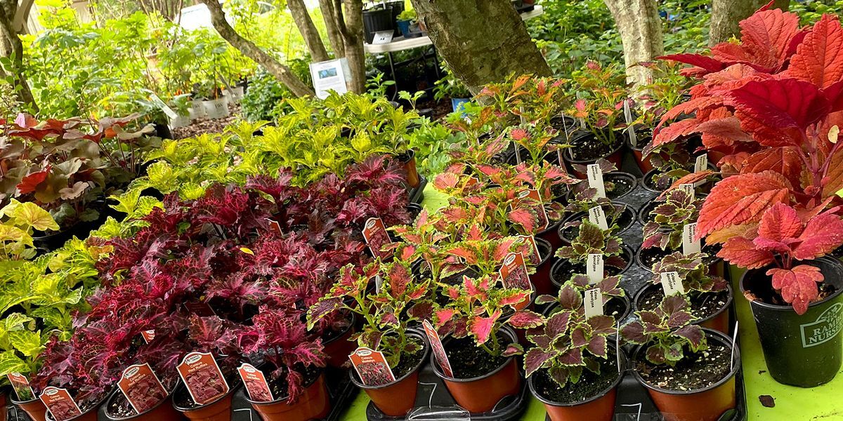 Aldridge Gardens | Nature & Art | Hoover, Alabama