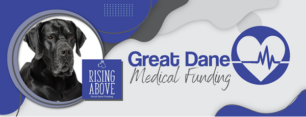 Home : Great Dane Rescue