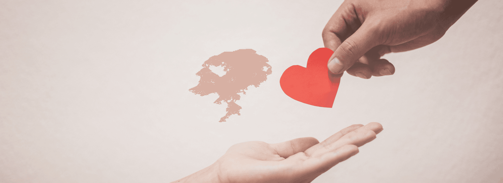 The Children’s Heart Foundation | Funding CHD Research