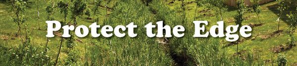 Protect the Edge : Be the Change : Madison Soil and Water Conservation ...