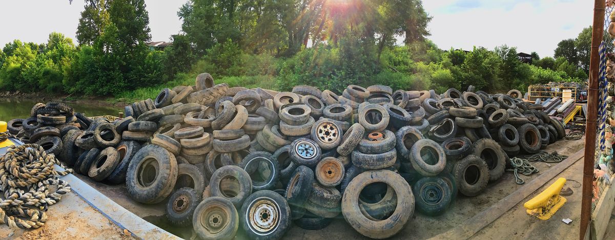 River Cleanups