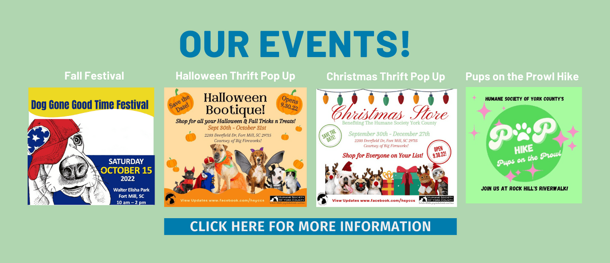 Home : Humane Society of York County