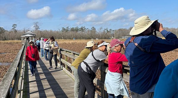 Senior Bus Trips | Birding | Houston Audubon