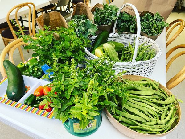 Food Access : Programs for Adults & Families : What We Do : Mooncrest ...