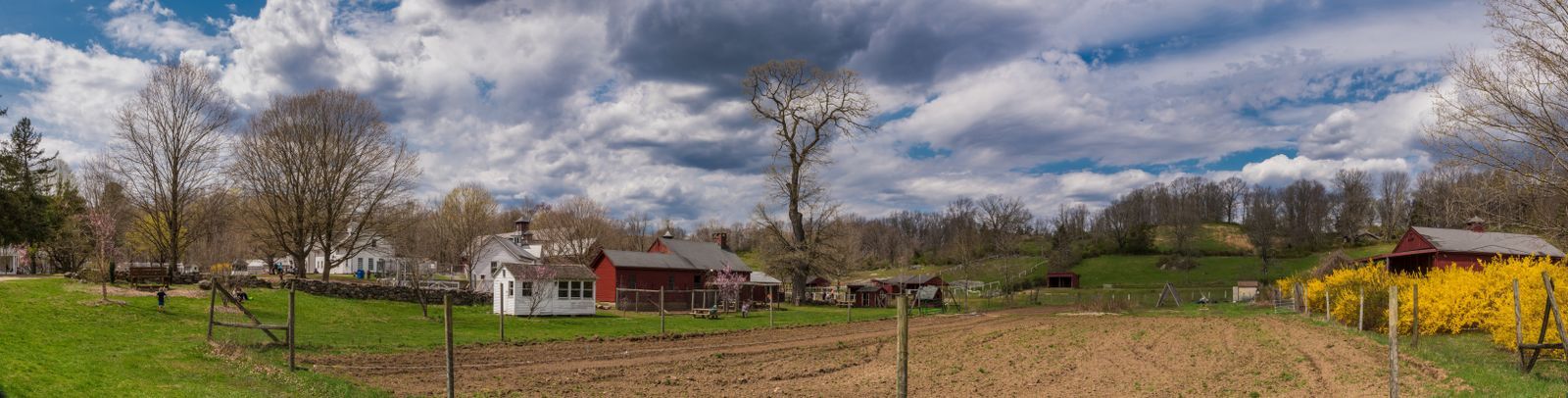 Donate : How to Help : Muscoot Farm