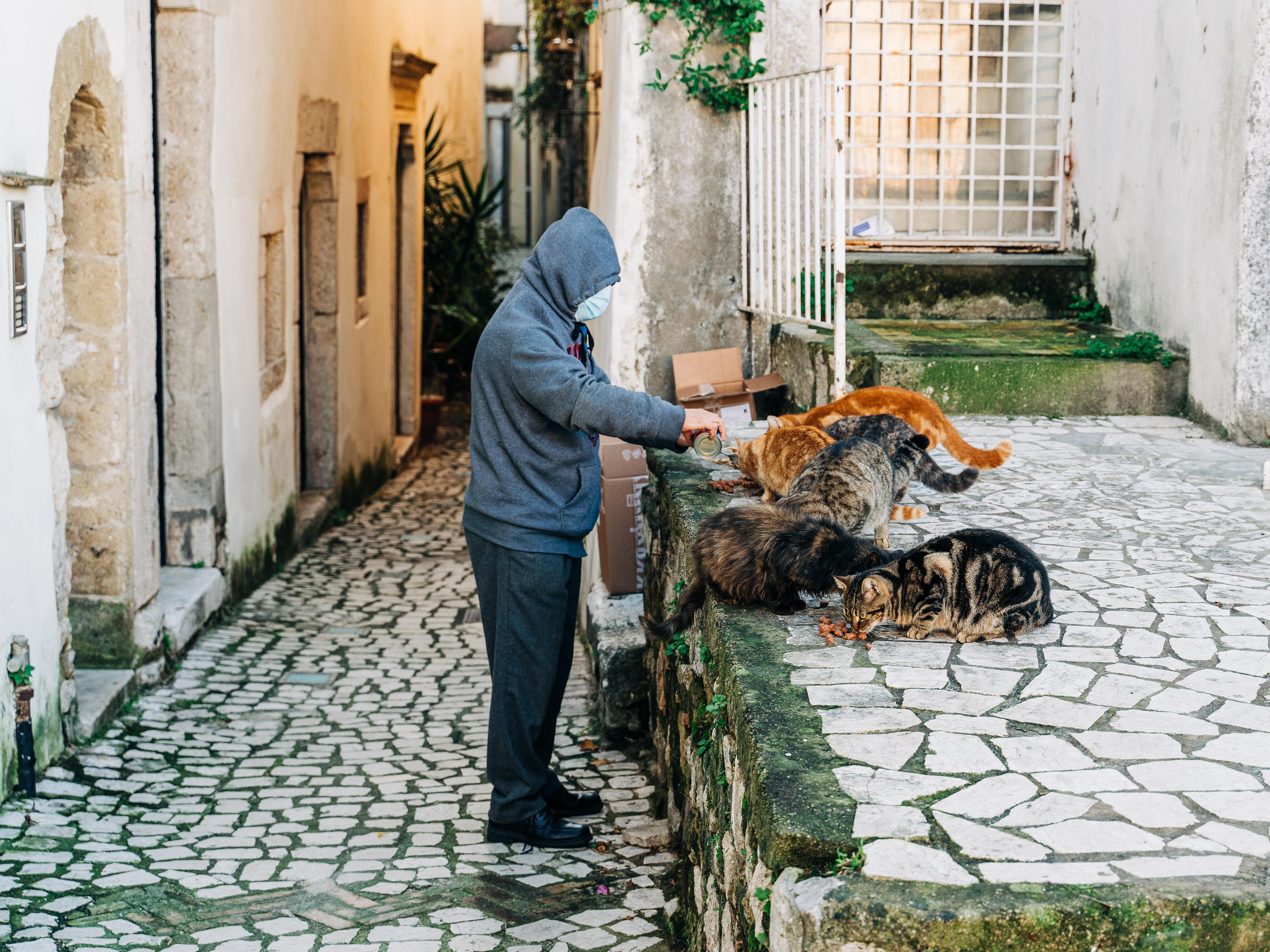 Grant Funding to pay for TNR program