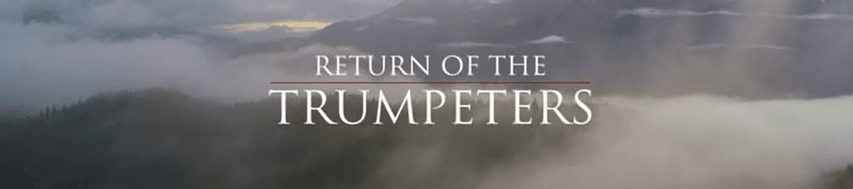 Return of the Trumpeters film