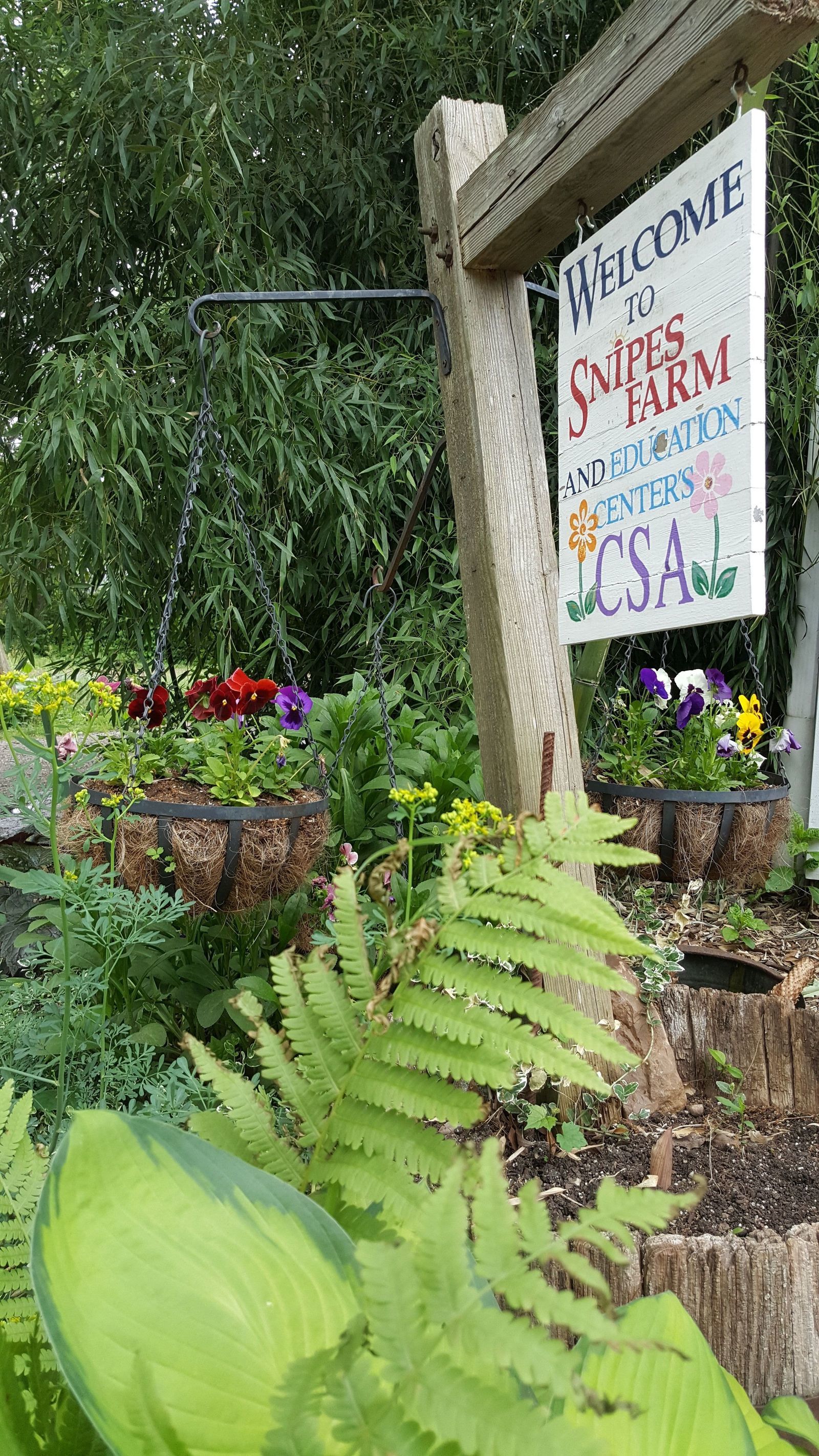 Overview : Our Education Programs : Snipes Farm and Education Center