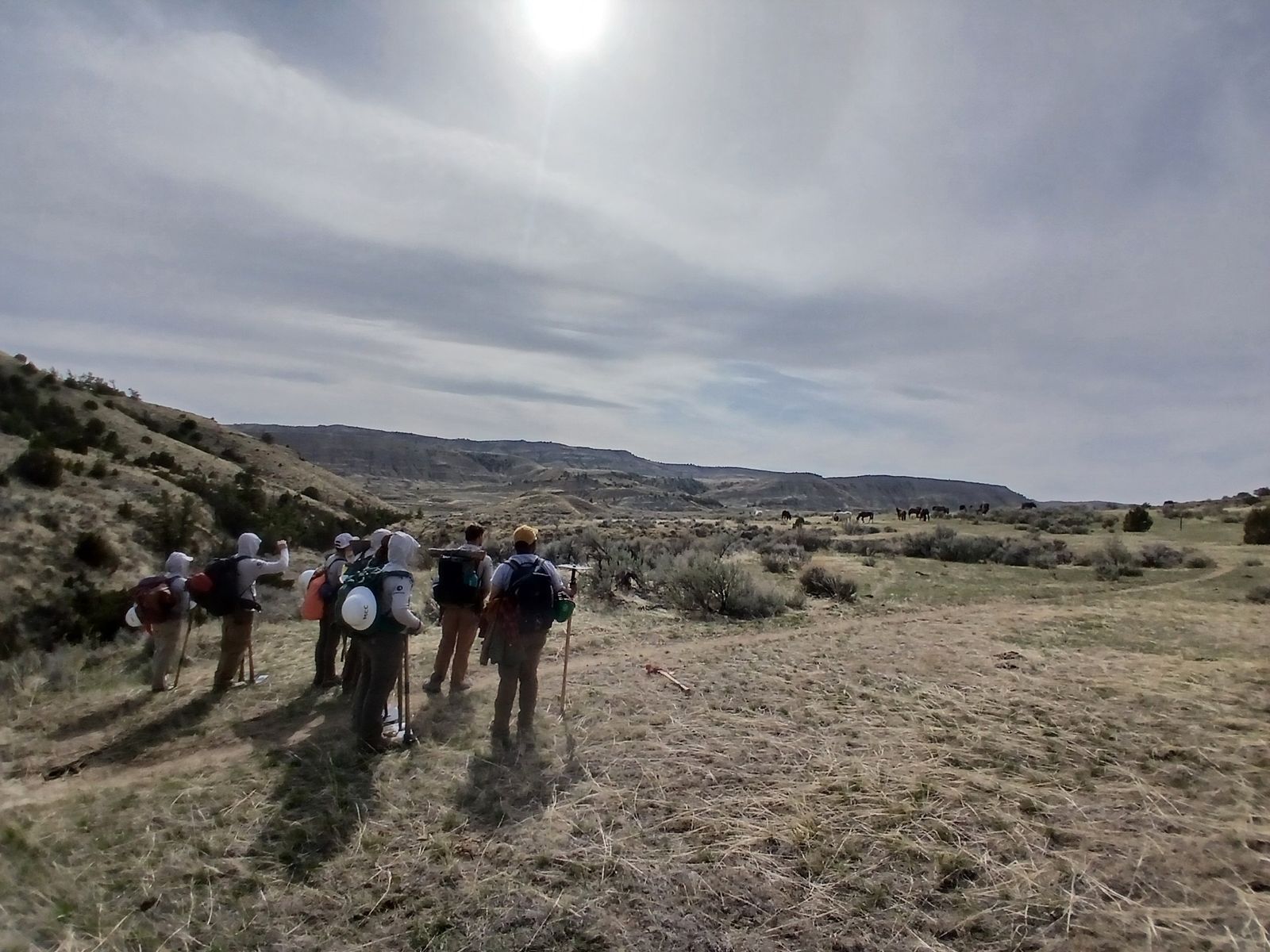 Home | Montana Conservation Corps