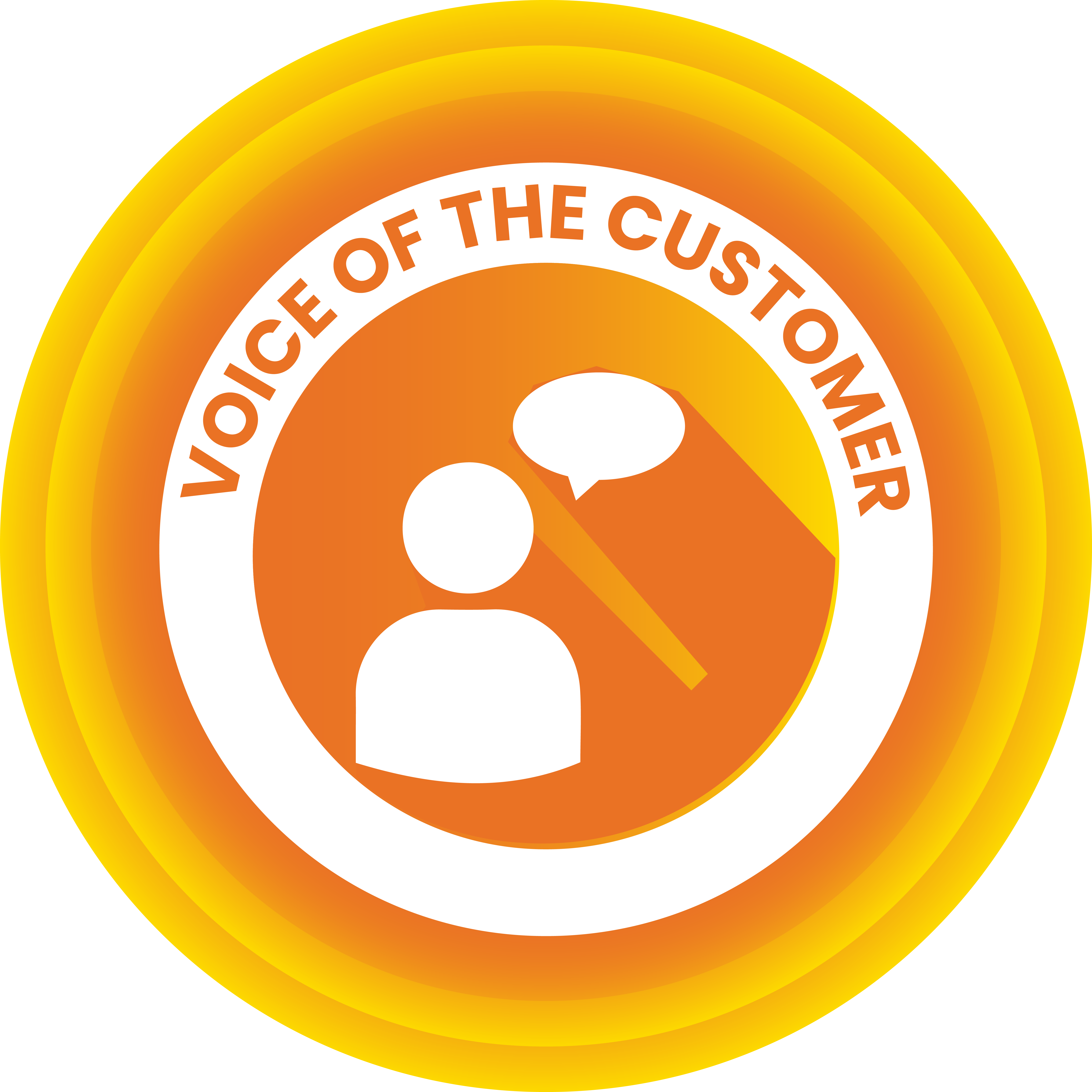Voice of the Customer