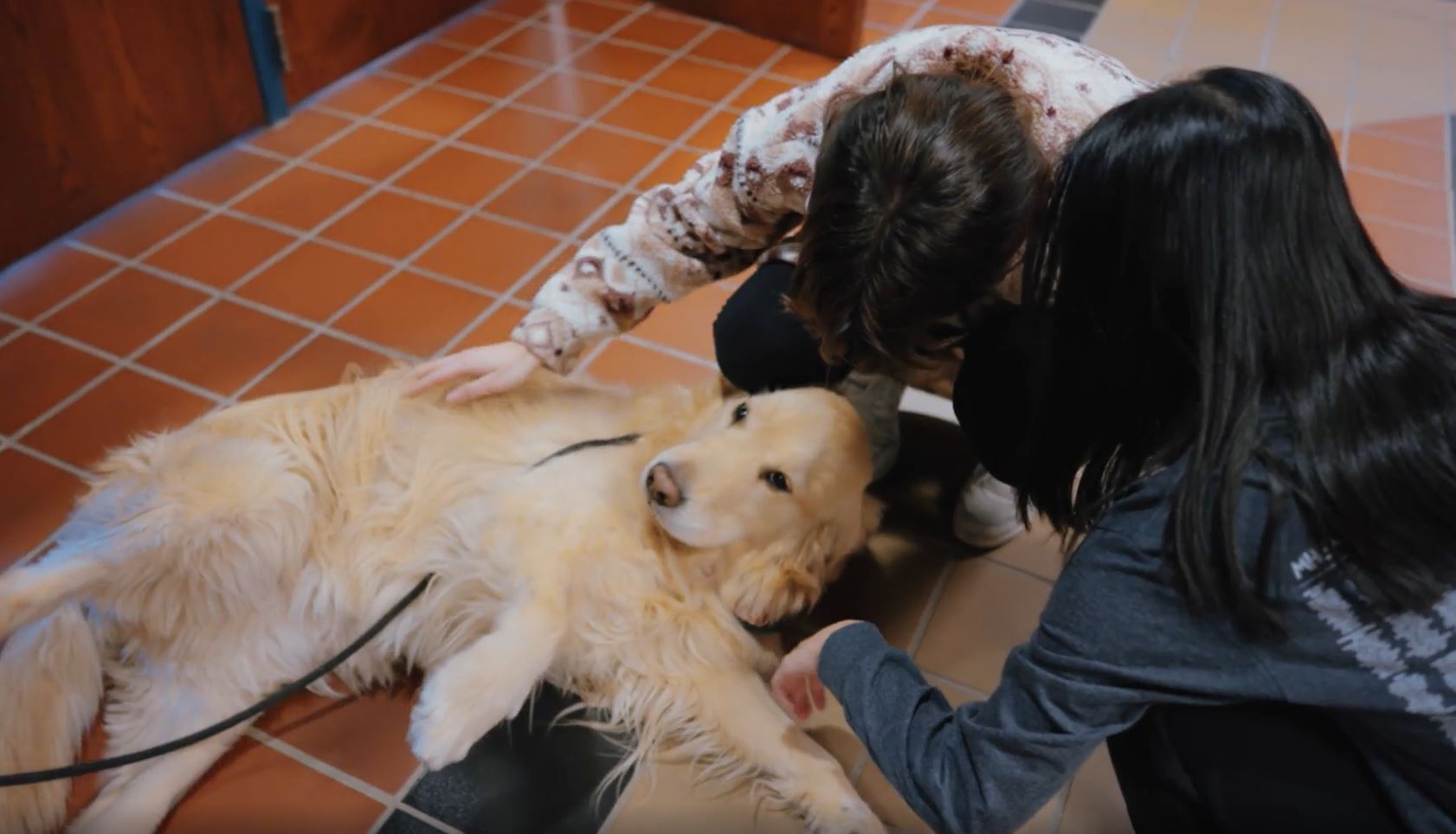 REF Social Emotional Wellness