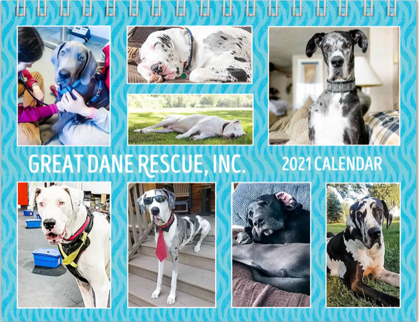 2021 GDRI Calendar : Help Our Cause : Great Dane Rescue