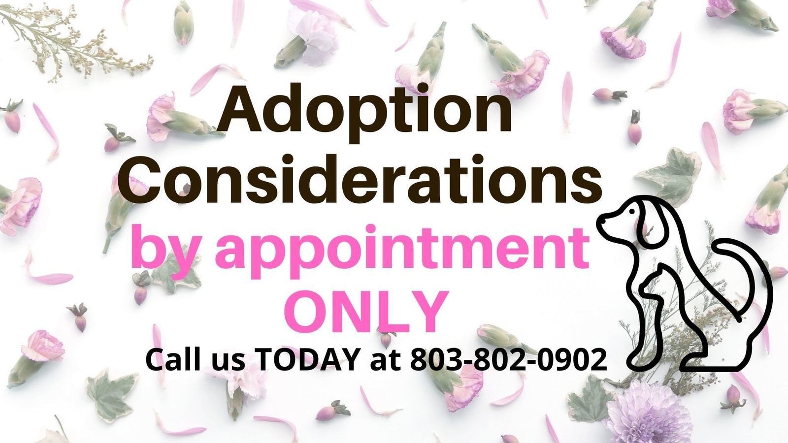 Humane Society of York County : Home