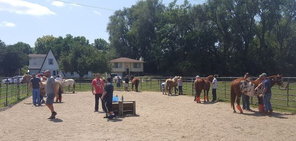 Home : Victory Riding Academy