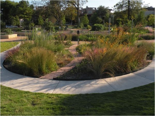 Beyond Your Yard | Bird-Friendly Communities | Conservation | Houston ...