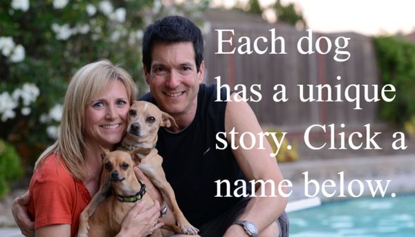 Home : 3R Rescue, Inc.