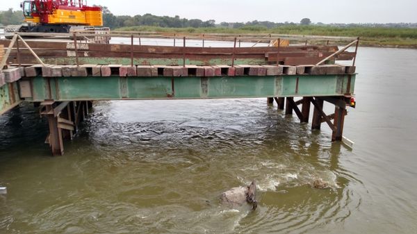 Removal of River Obstructions : LPRCA Projects : What We Do : Lower ...