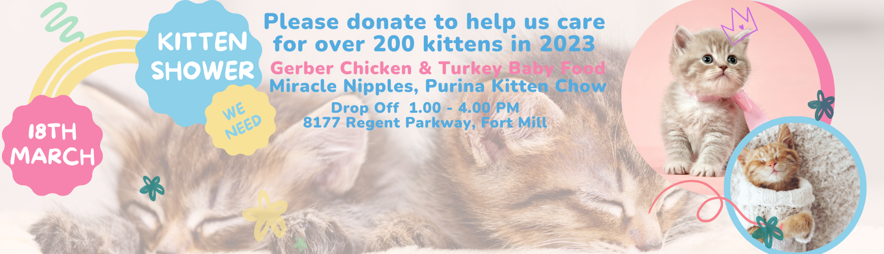 2023 Kitten Season : Fundraising Campaign : Humane Society of York County