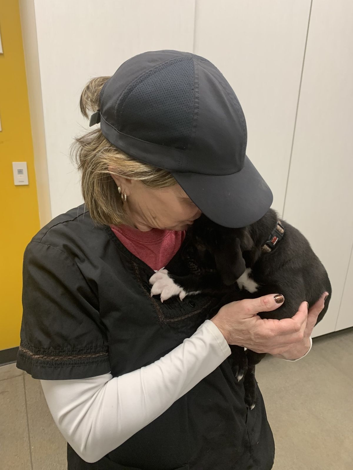 Tri-County Humane Society