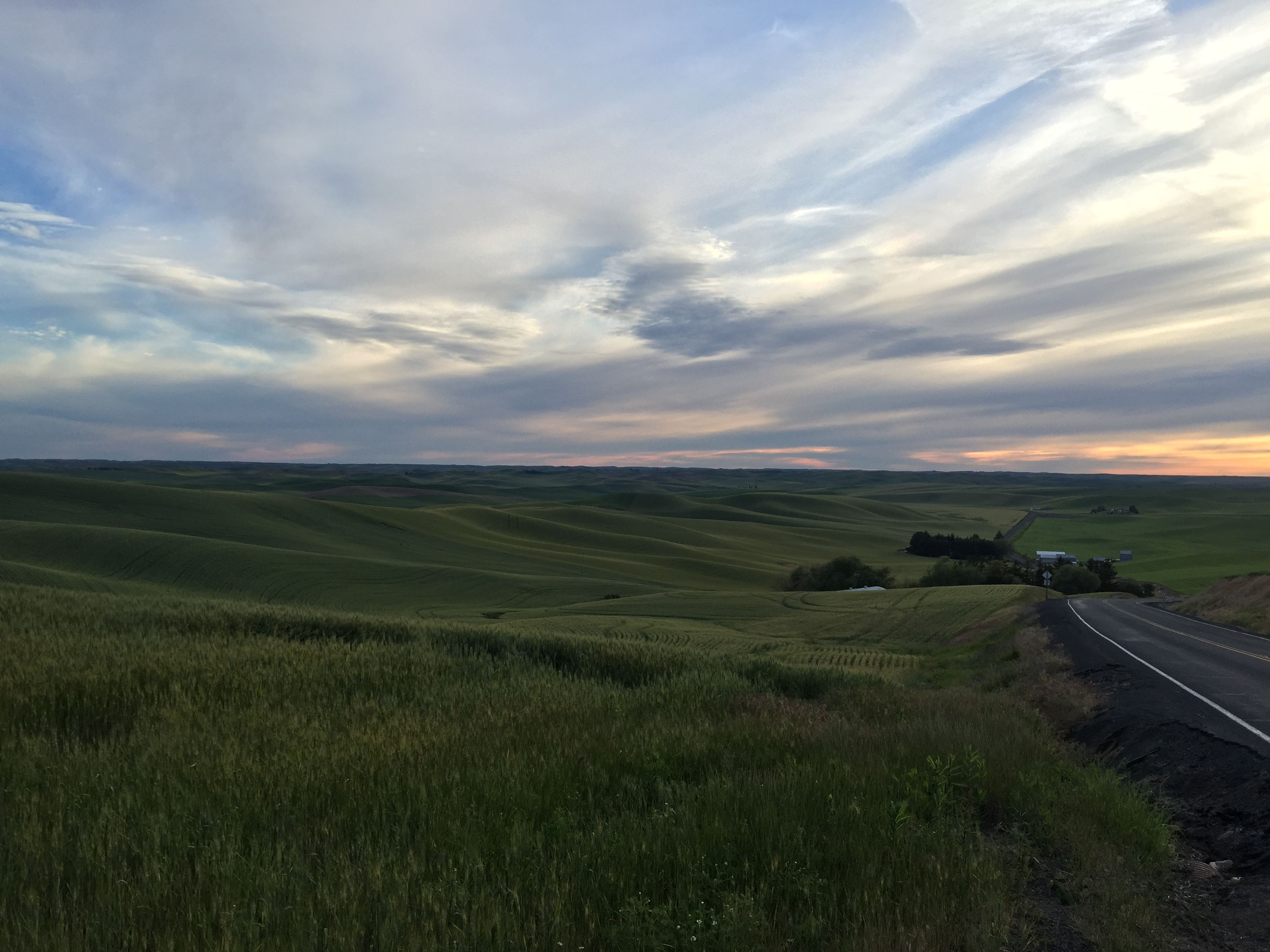 Whitman County Humane Society