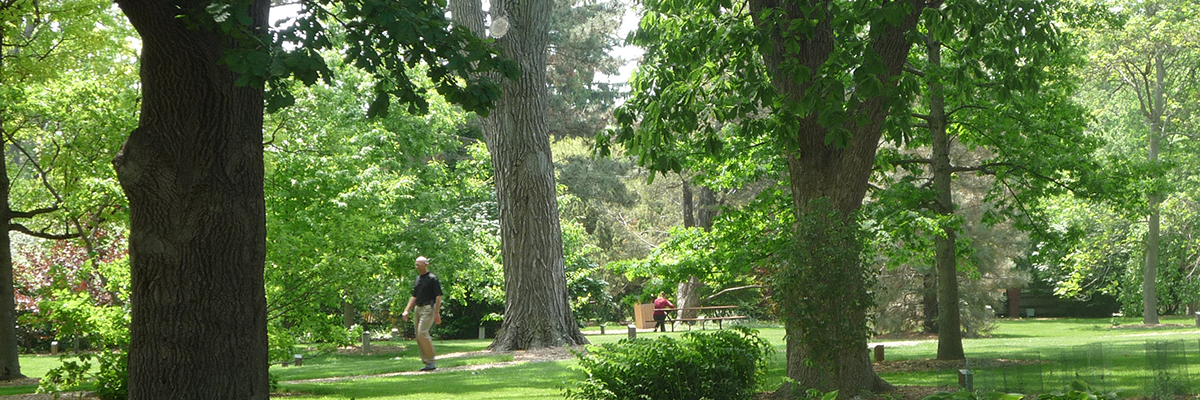 Plant | Landscape | Plains | Nebraska | Arboretum | Statewide