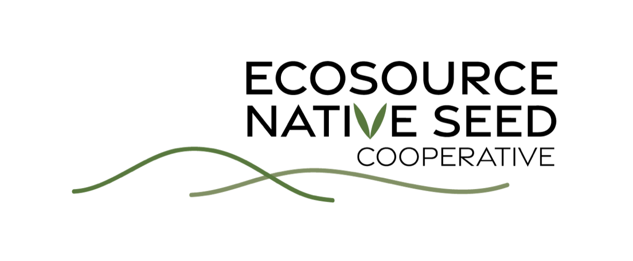 EcoSource Concept : What We Do : EcoSource Native Seed & Restoration