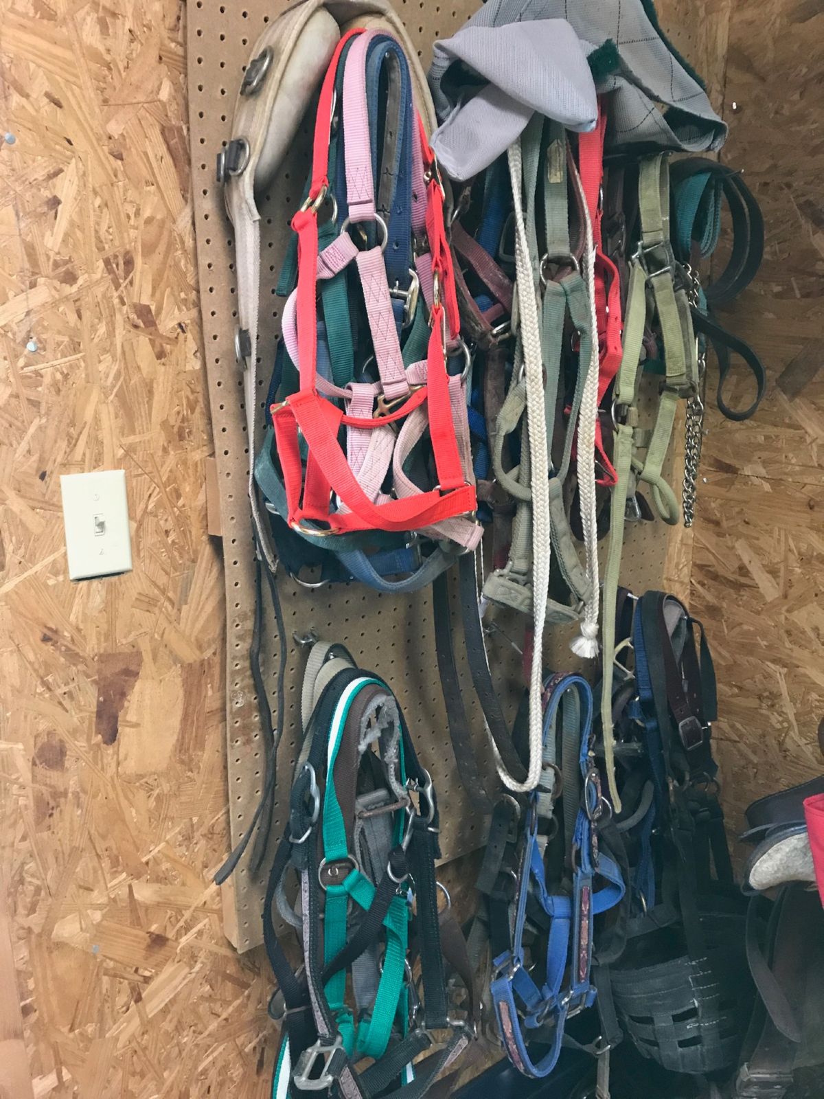 Tack Shack : How To Help : Horse Haven of Tennessee