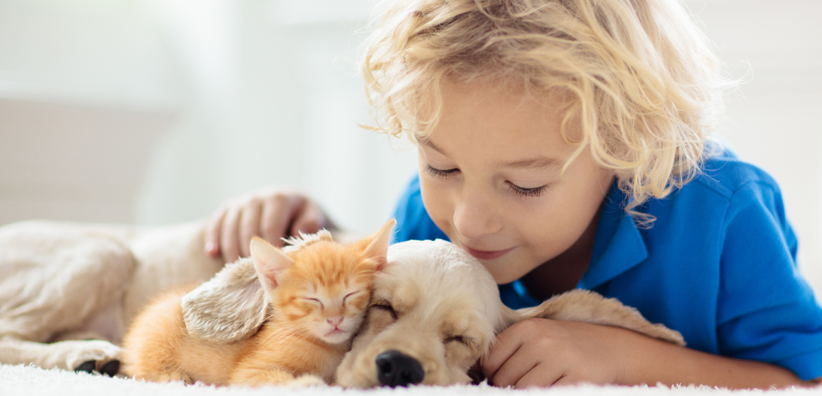 Home : Midlands Humane Society