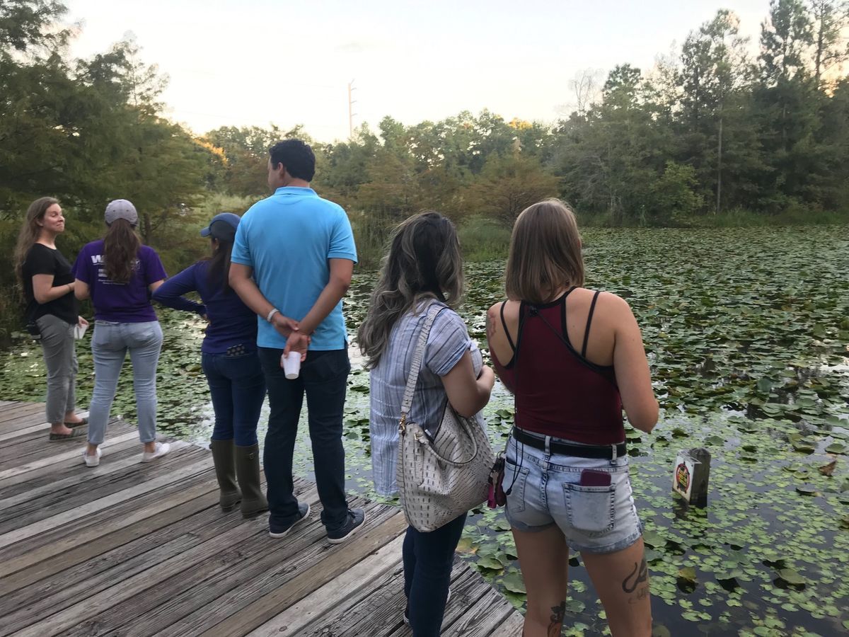 Houston Bird Week | Programs | Houston Audubon