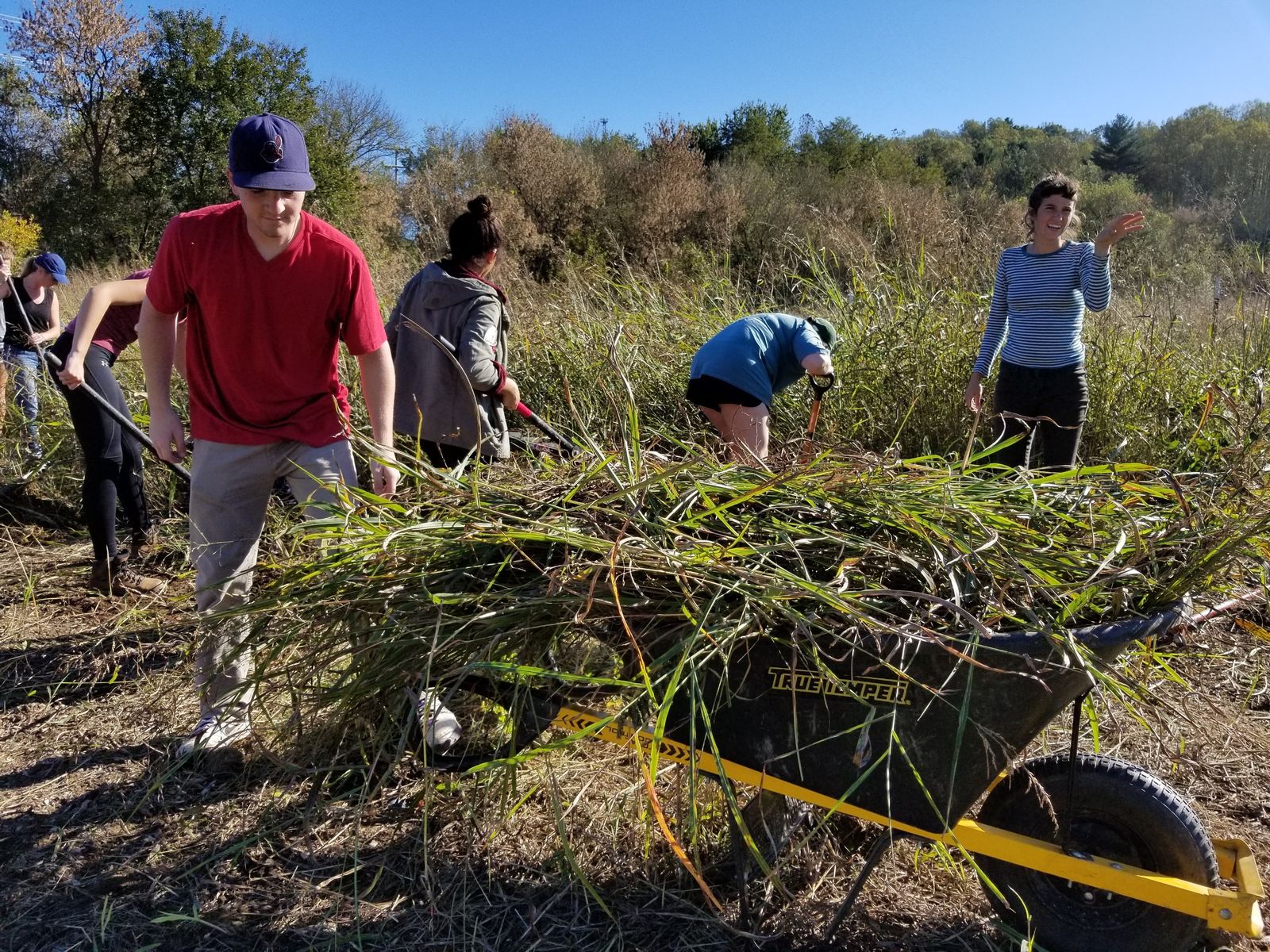 Community Work Study