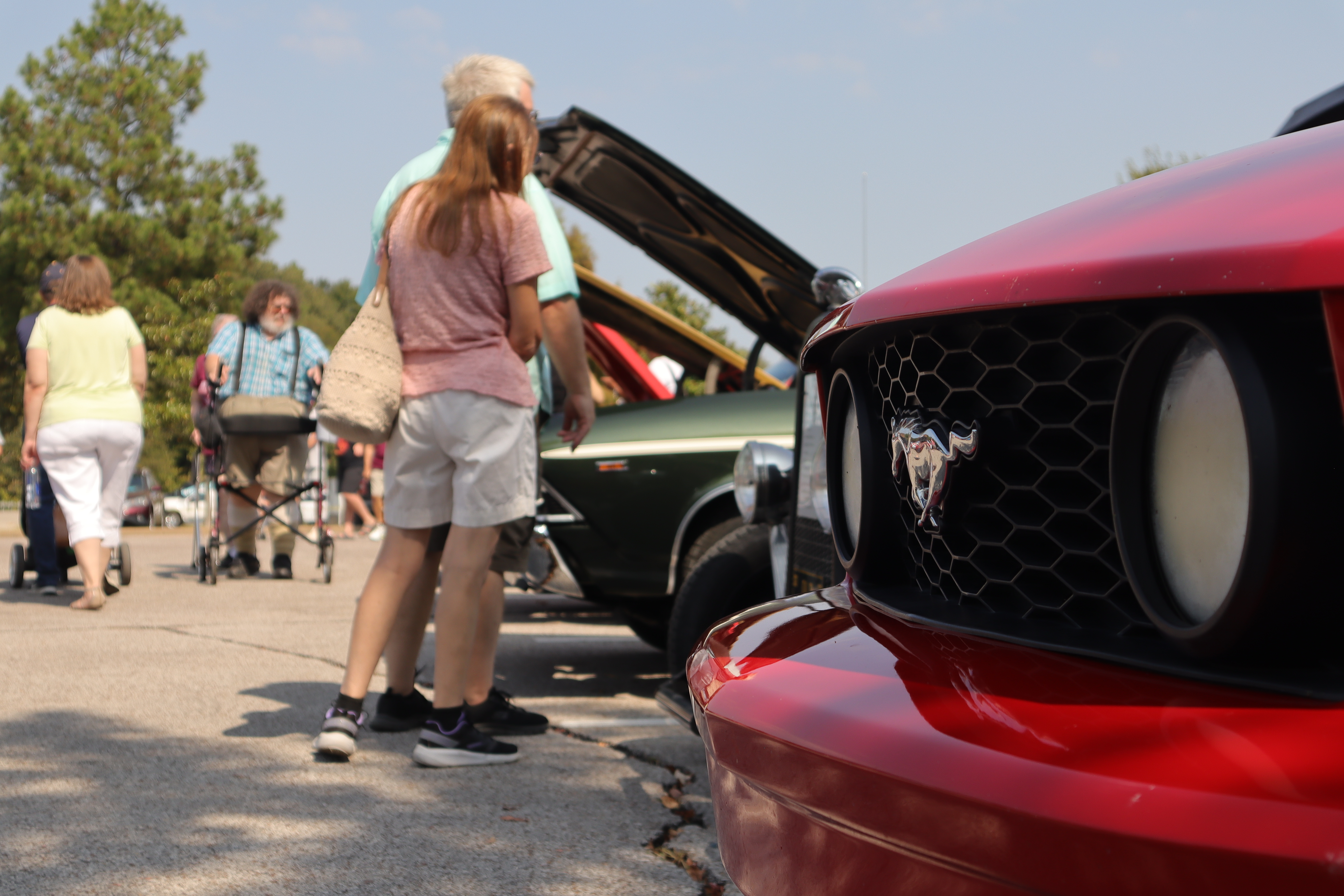 Mustangs of Memphis Car Show Photo Gallery