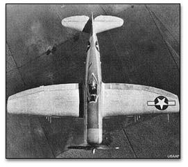 P-47 Thunderbolt: Aviation Darwinism