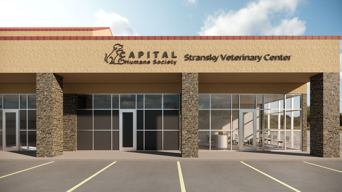 Services & Timeline : Stransky Veterinary Center