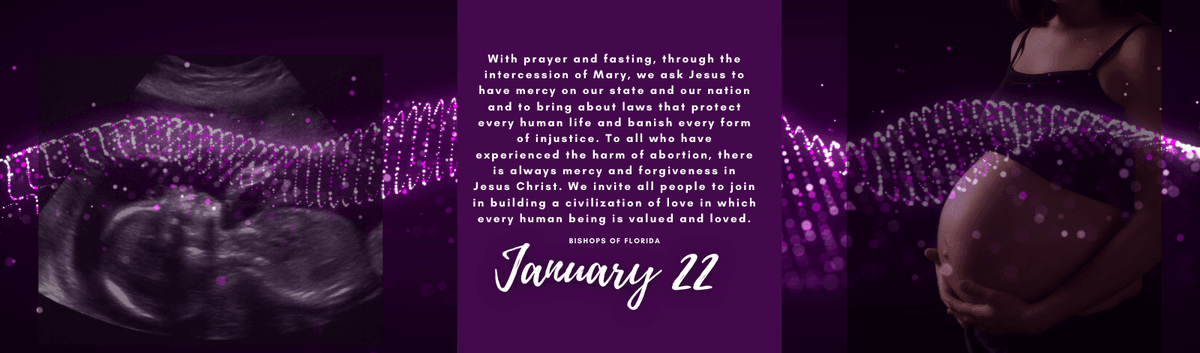 Day of Prayer for the Legal Protection of Unborn Children January 22nd.
