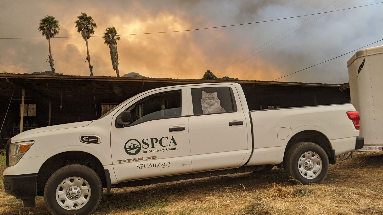 How to Help SPCA Fire Rescues