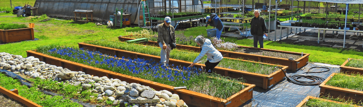 Pacific Rim Institute