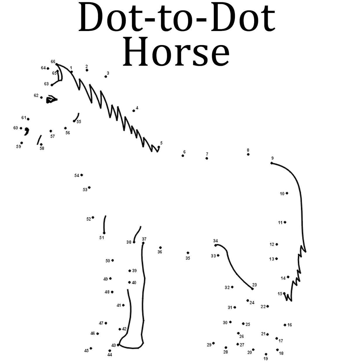 Super Fun Worksheets