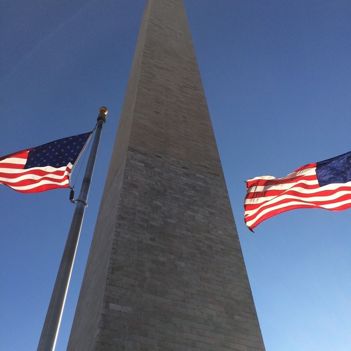 Washington DC in Springtime Hub Tour : 2025 Bike Tours : Bike Tours ...