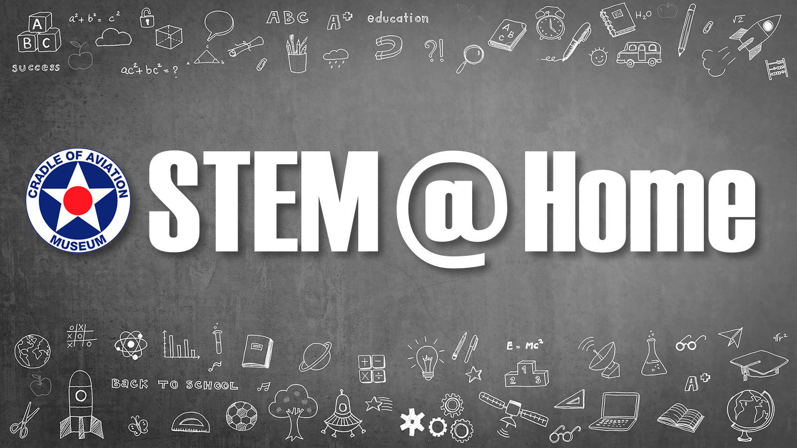 Science of Flight - Bats - STEM@Home