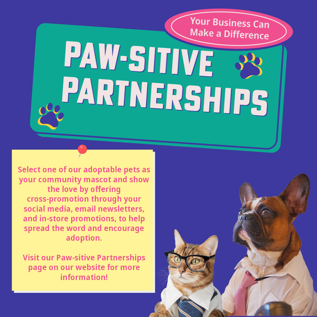 Paw-sitive Partnerships