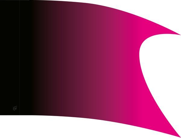 Color Guard Specialty Flag Shapes