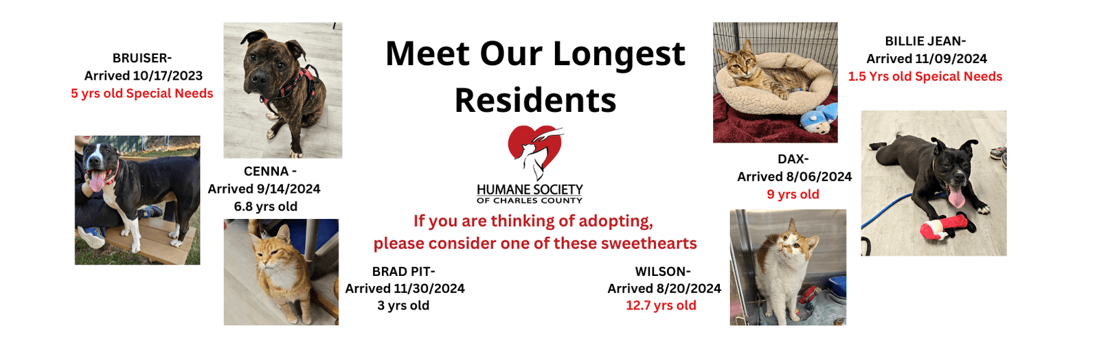 Home [humanesocietycc.org]