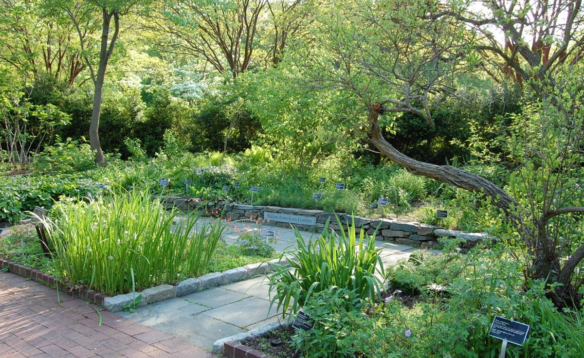 Garden Gallery of Herb Society of America