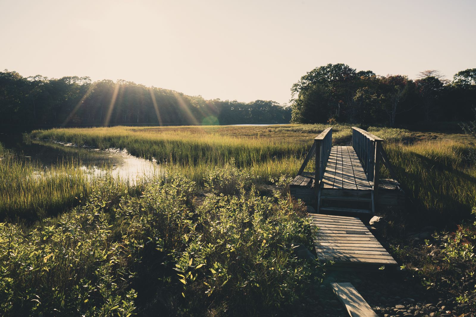 Five Ecological Piers at Touisset Marsh | Audubon Society of RI