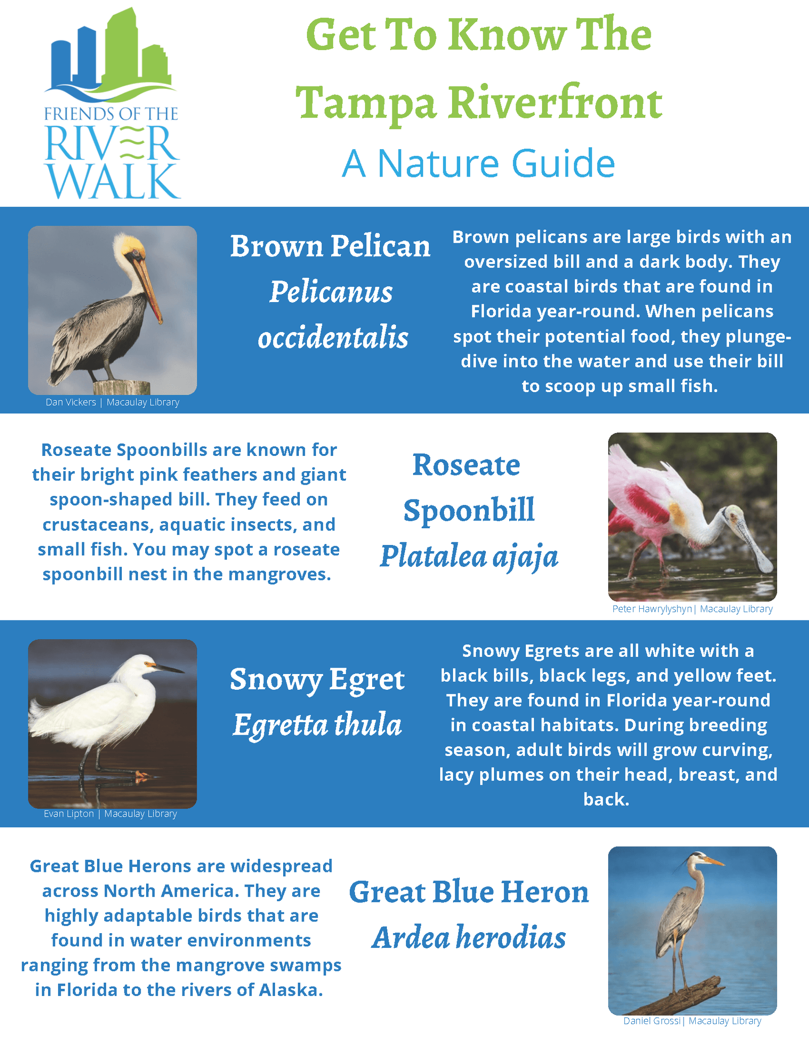 Nature Guide : Visit : Friends of the Riverwalk