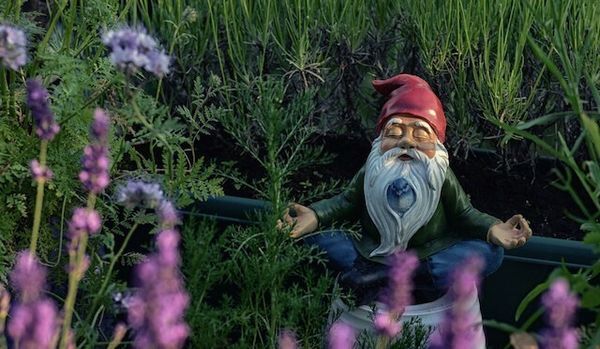 Home : Green Tree Public Library